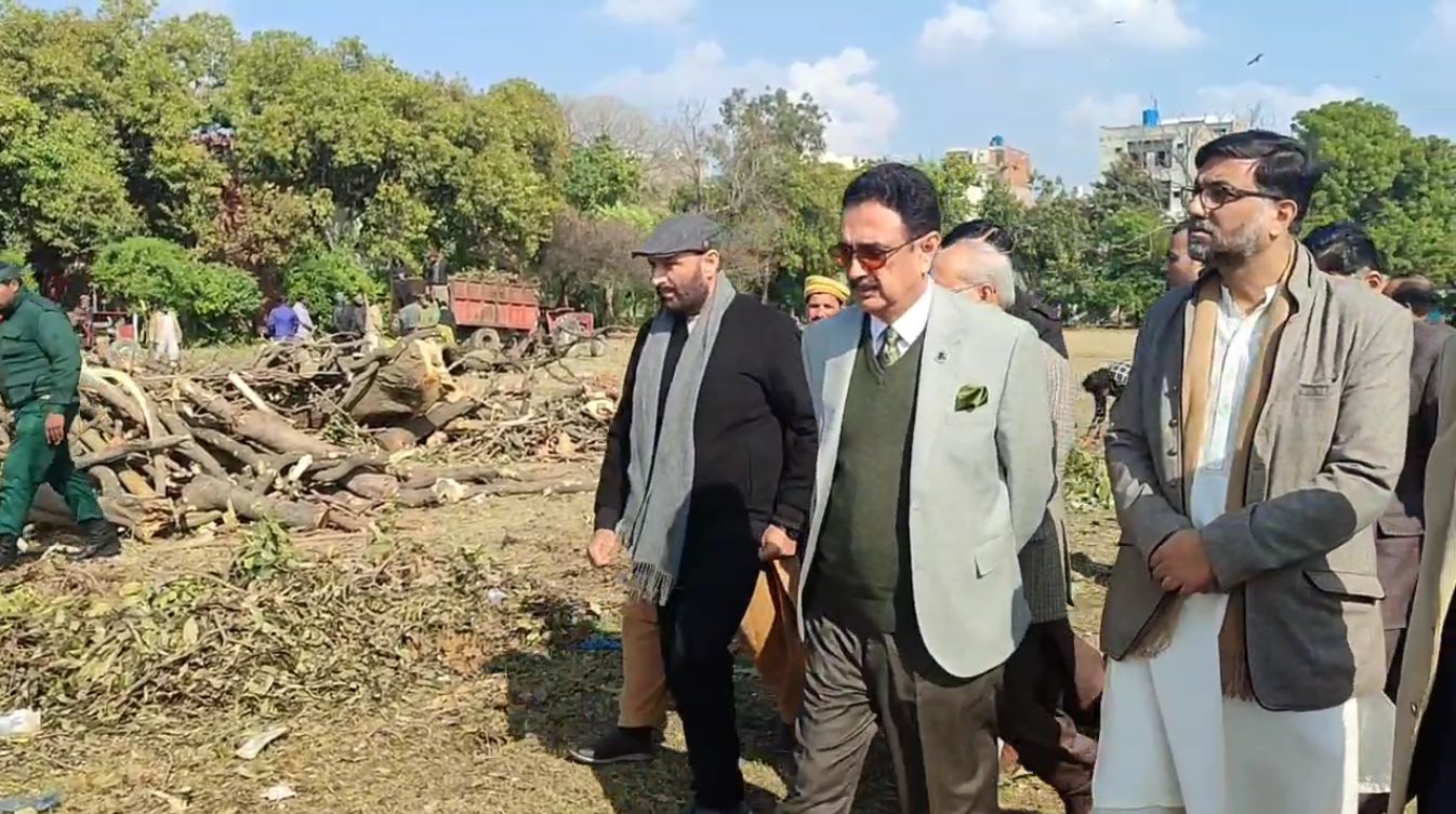 PU VC Takes Action Over Illegal Tree Cutting at Islamic Center – The ...